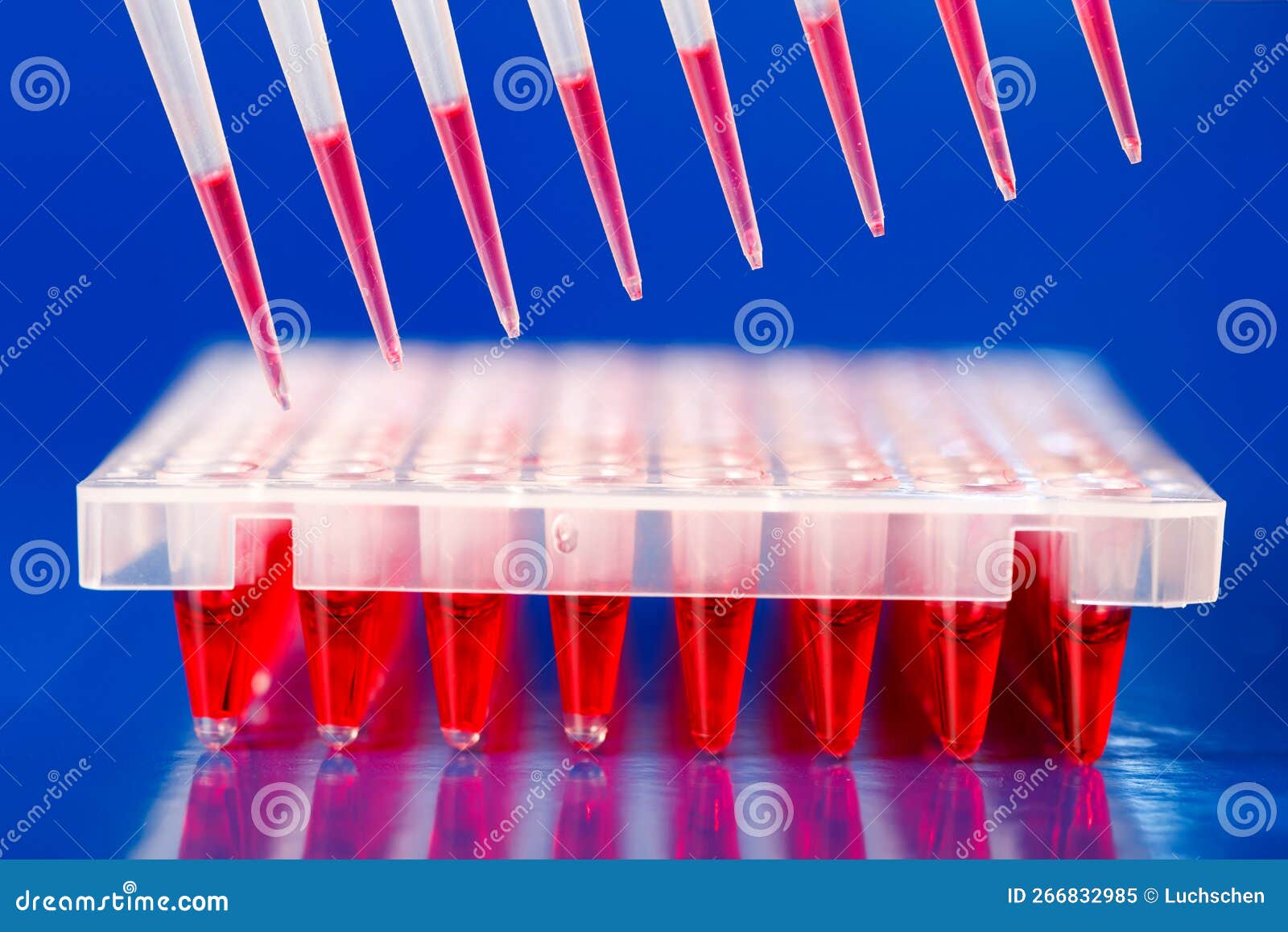 96 Well Plates in the Laboratory of Genetic Modification Using CRISPR ...