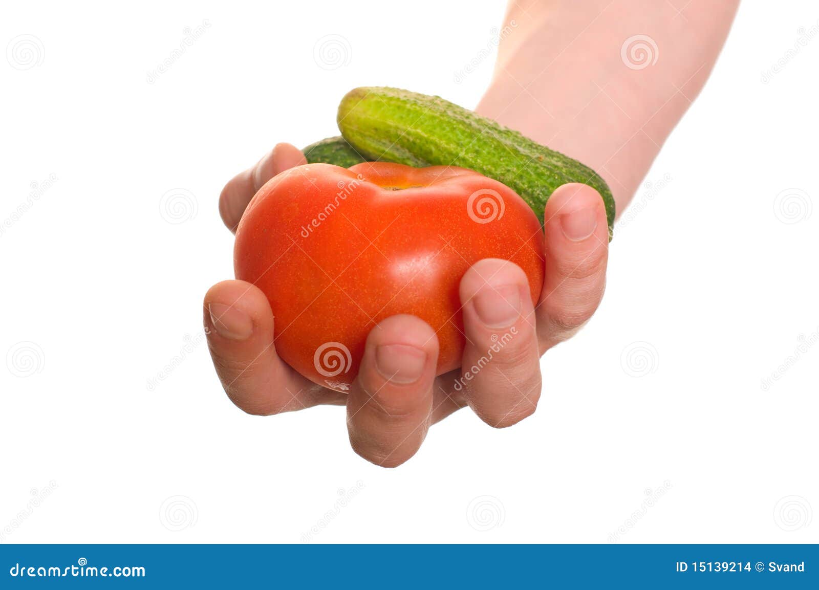 Well Shaped Hand with Fresh Vegetables Stock Photo - Image of macro ...