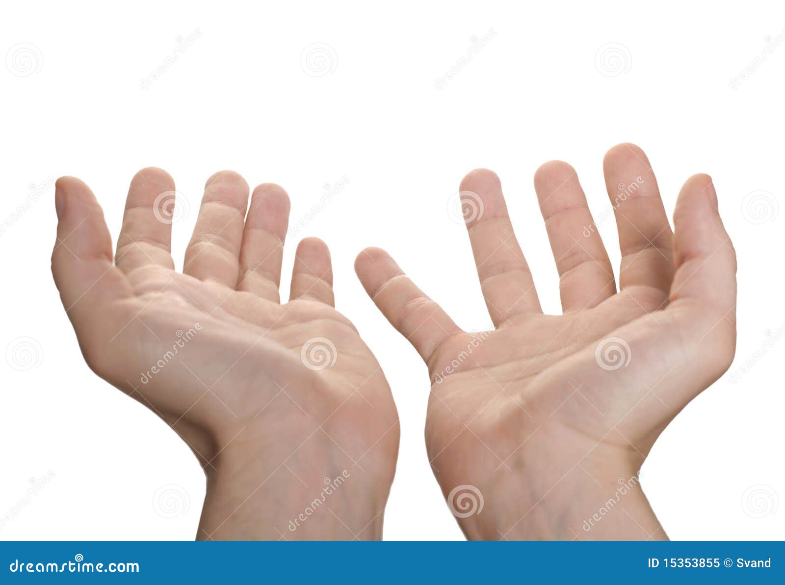 Well Shaped Men S Hand Holding Something Stock Image - Image of people ...