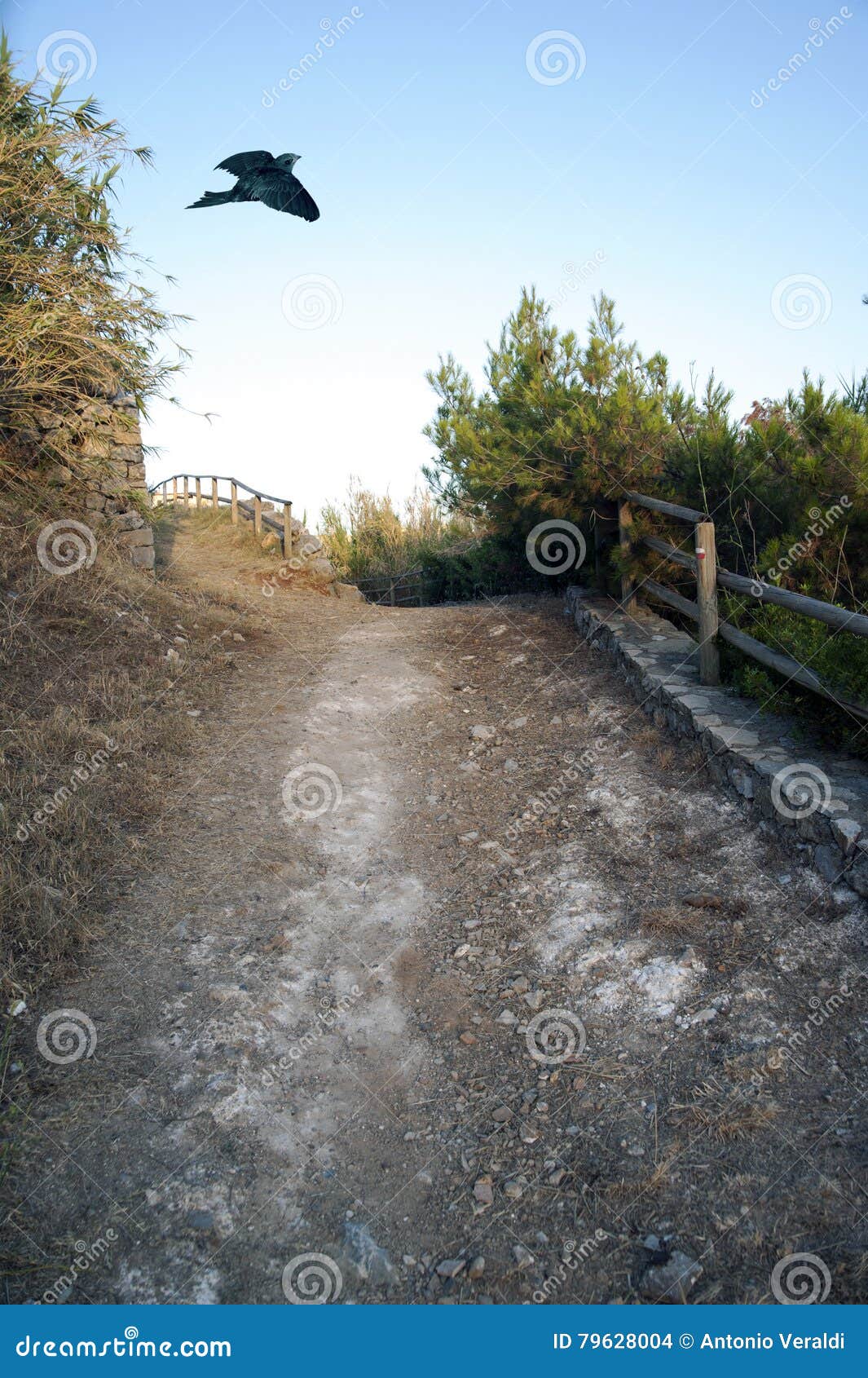 Well-trodden path stock photo. Image of hiking, hike - 79628004