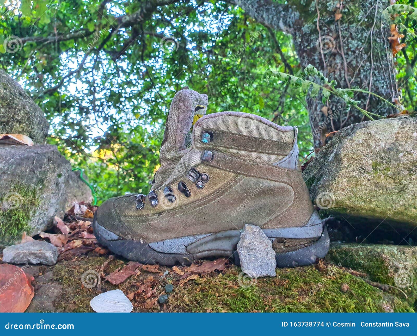 Garbage Boot Lost in Forest Stock Photo - Image of abandoned, grunge ...