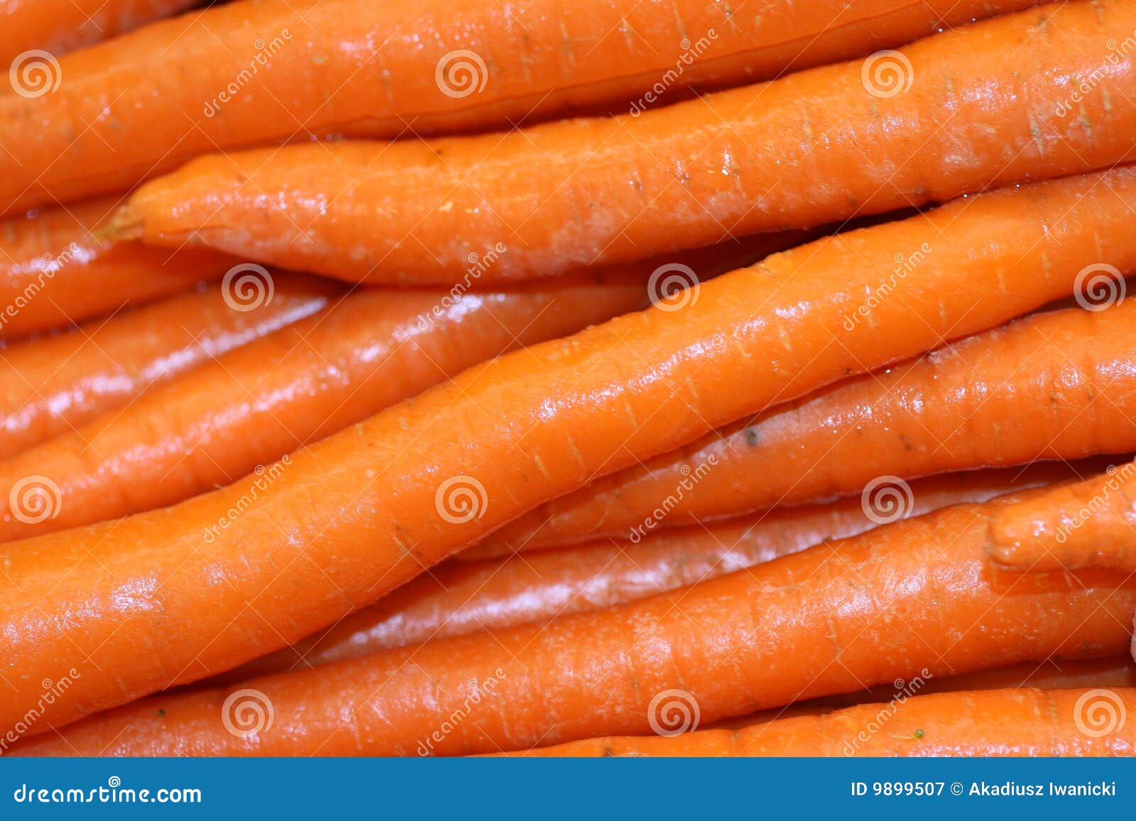 Well Washed Carrot stock image. Image of market, carrot - 9899507
