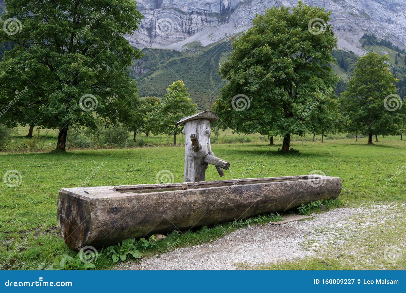 Well and Water Trough Made Out of Tree Trunk in the Alps Stock Image ...