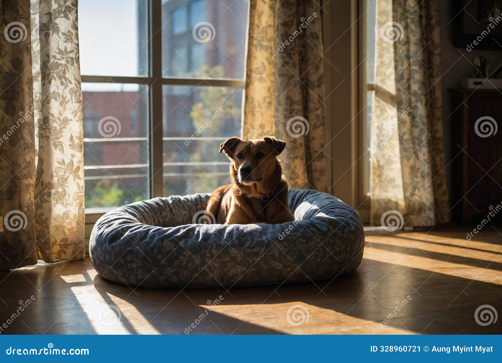 Slightly Parted Heavy Red Velvet Curtains, Rich Texture , Burgundy ...
