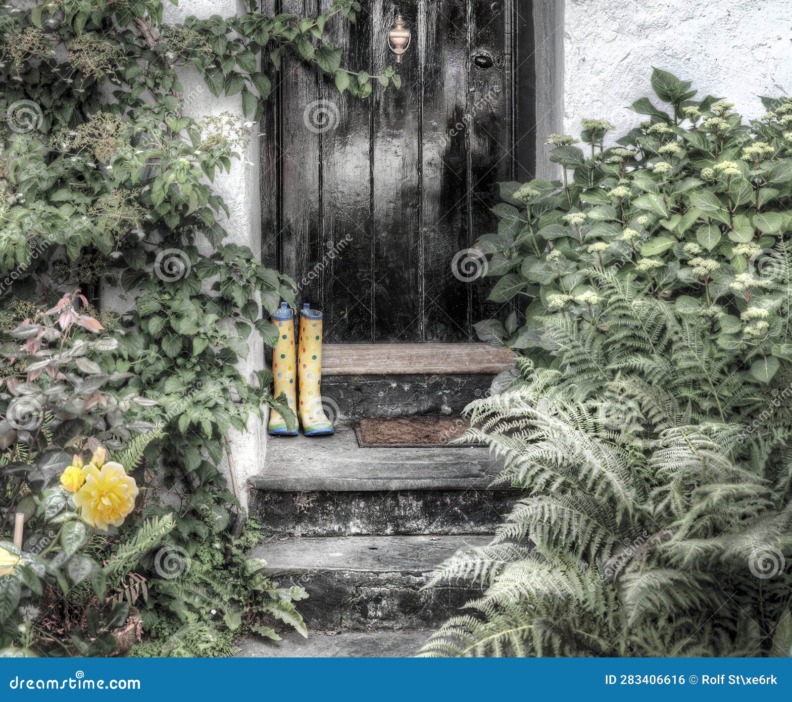 Wellingtons Decorating the Stairs Leading To a Cottage in Devon Stock ...