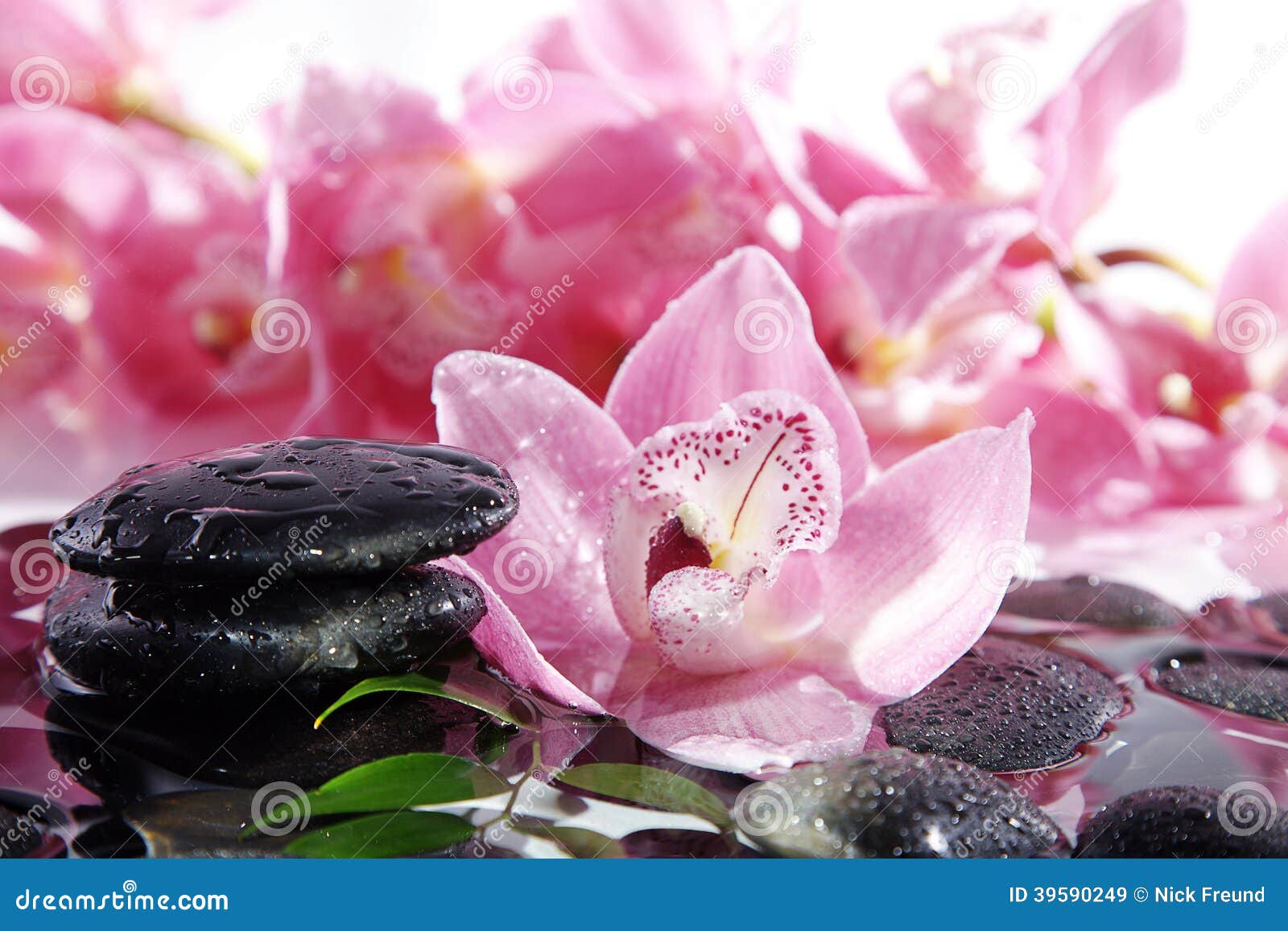 Wellnes Close Shot with Flowers and Stones Stock Image - Image of ...