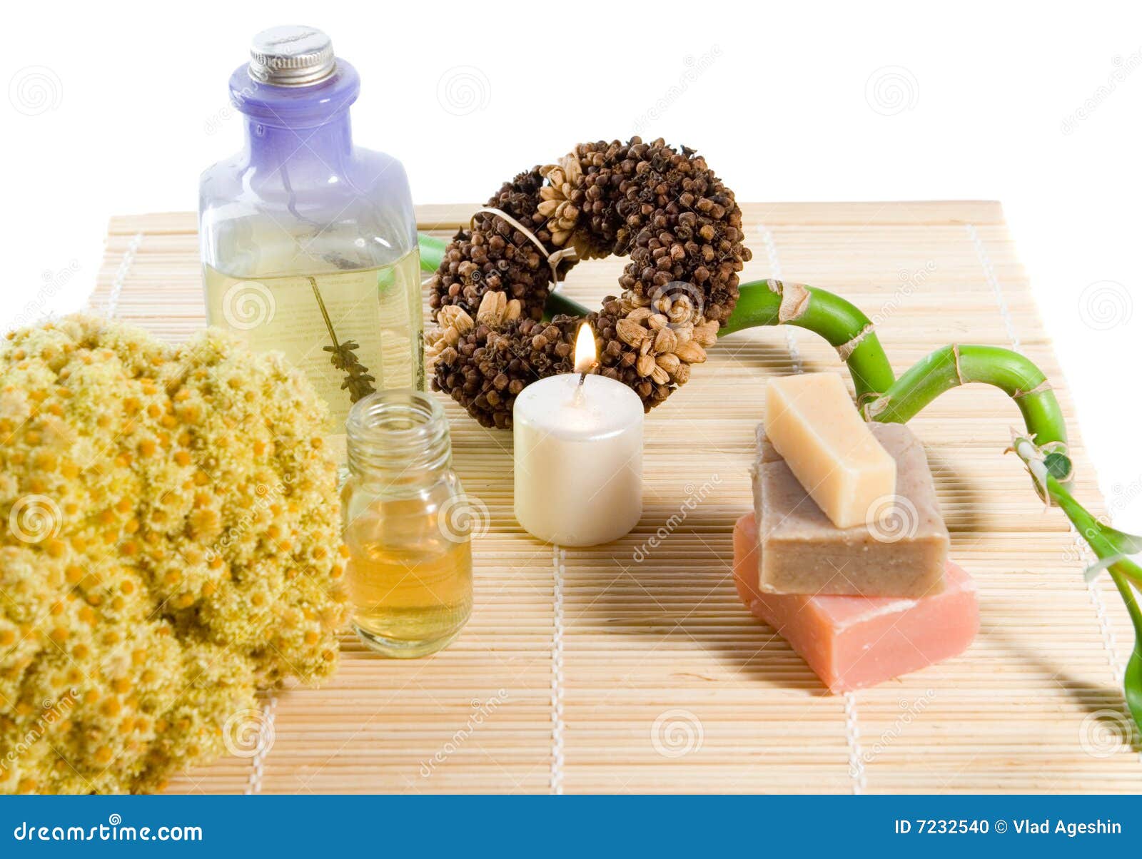 Wellnes products stock photo. Image of health, leaf, group - 7232540