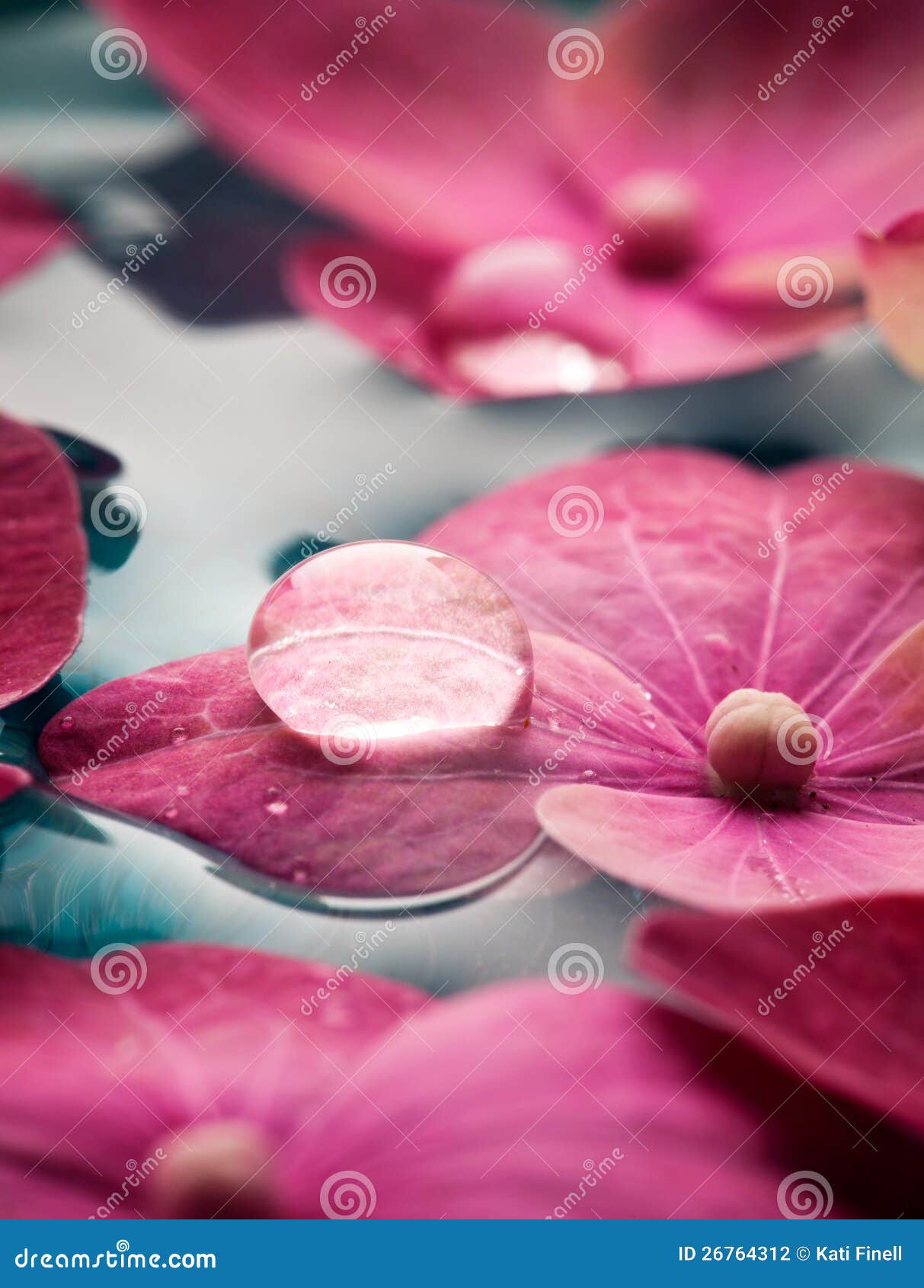 Wellness stock photo. Image of pampering, aromatherapy - 26764312