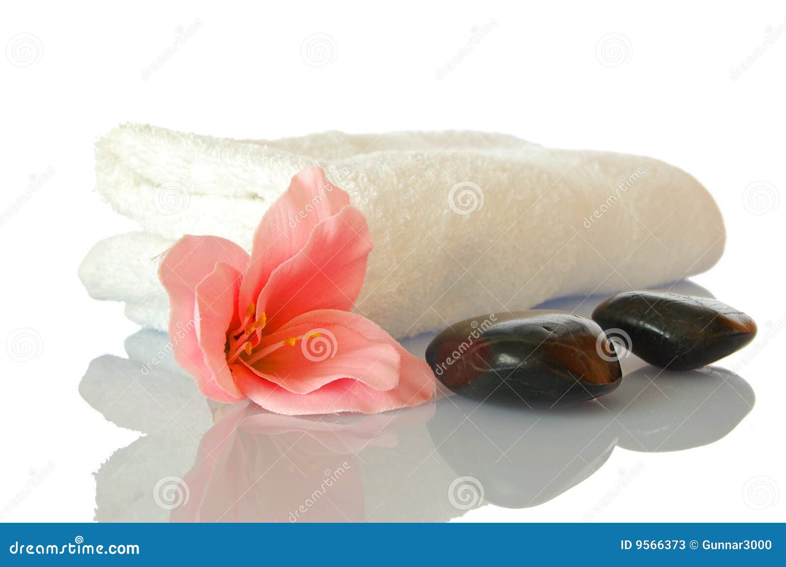 Wellness stock image. Image of bodycare, massage, clinic - 9566373