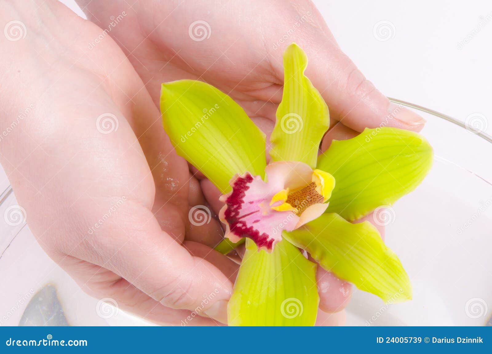 Wellness for hands stock image. Image of body, nature - 24005739