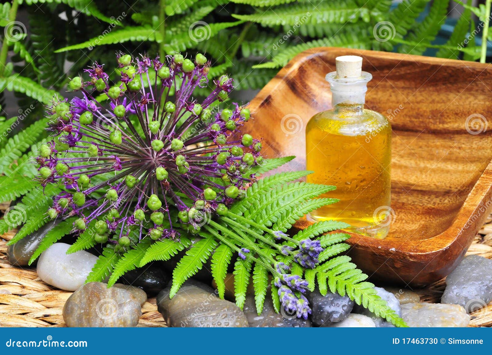 Wellness Plants green stock photo. Image of flower, asian - 17463730
