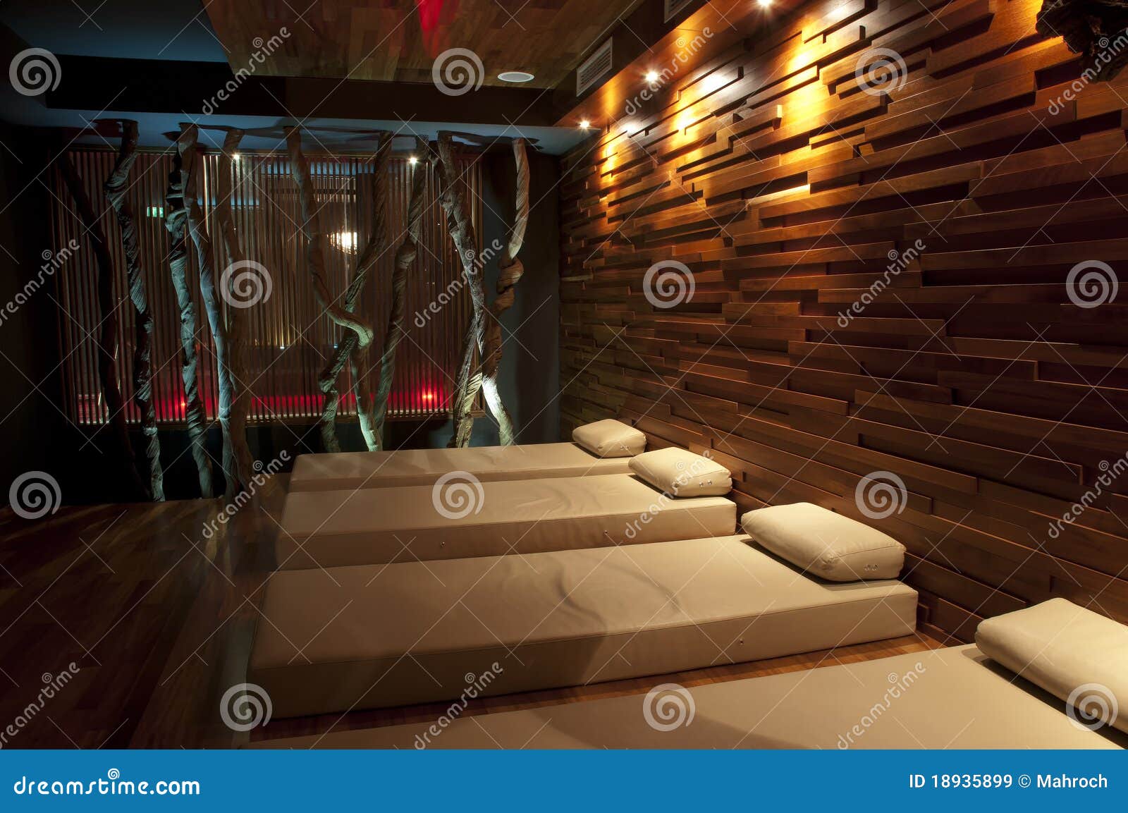 Wellness Restroom with Beds Stock Image - Image of pillow, light: 18935899