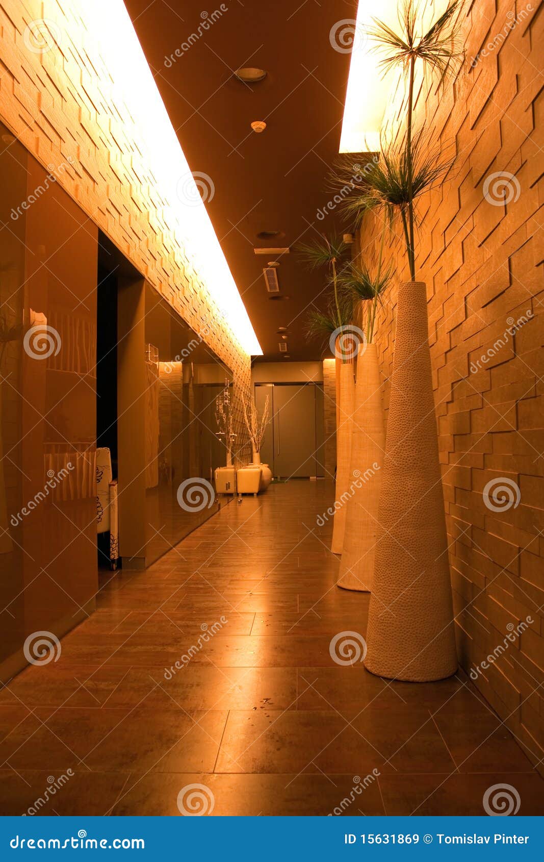 Wellness and spa hallway stock image. Image of plant - 15631869
