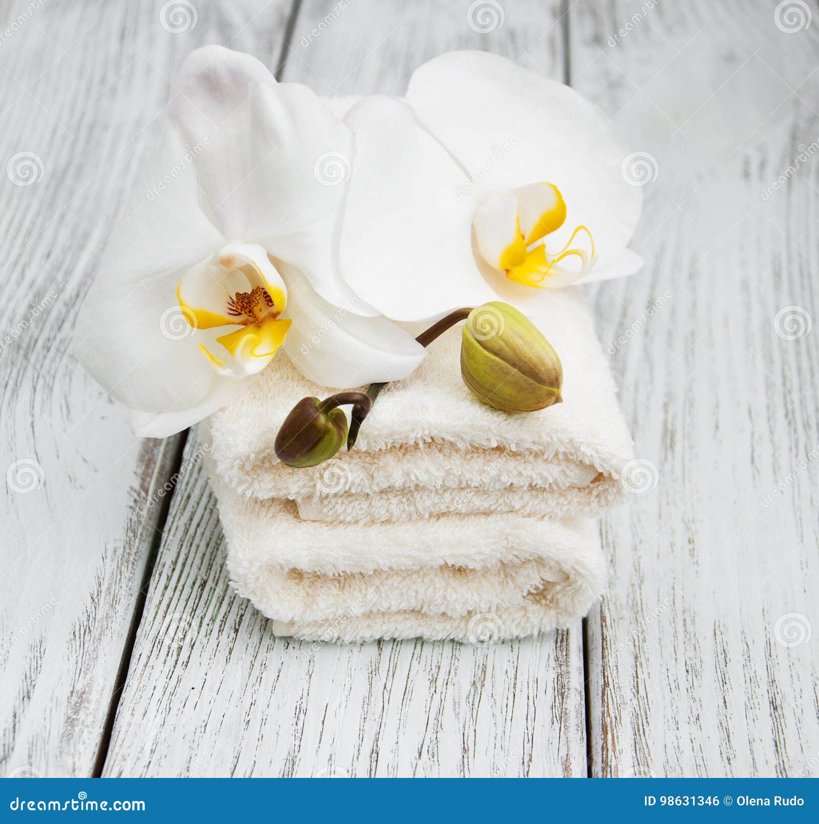 Wellness and spa scene stock photo. Image of wellbeing - 98631346