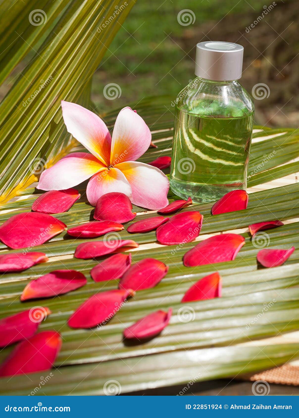 Wellness Spa Setting on Coconut Leaf Stock Photo - Image of foliage ...