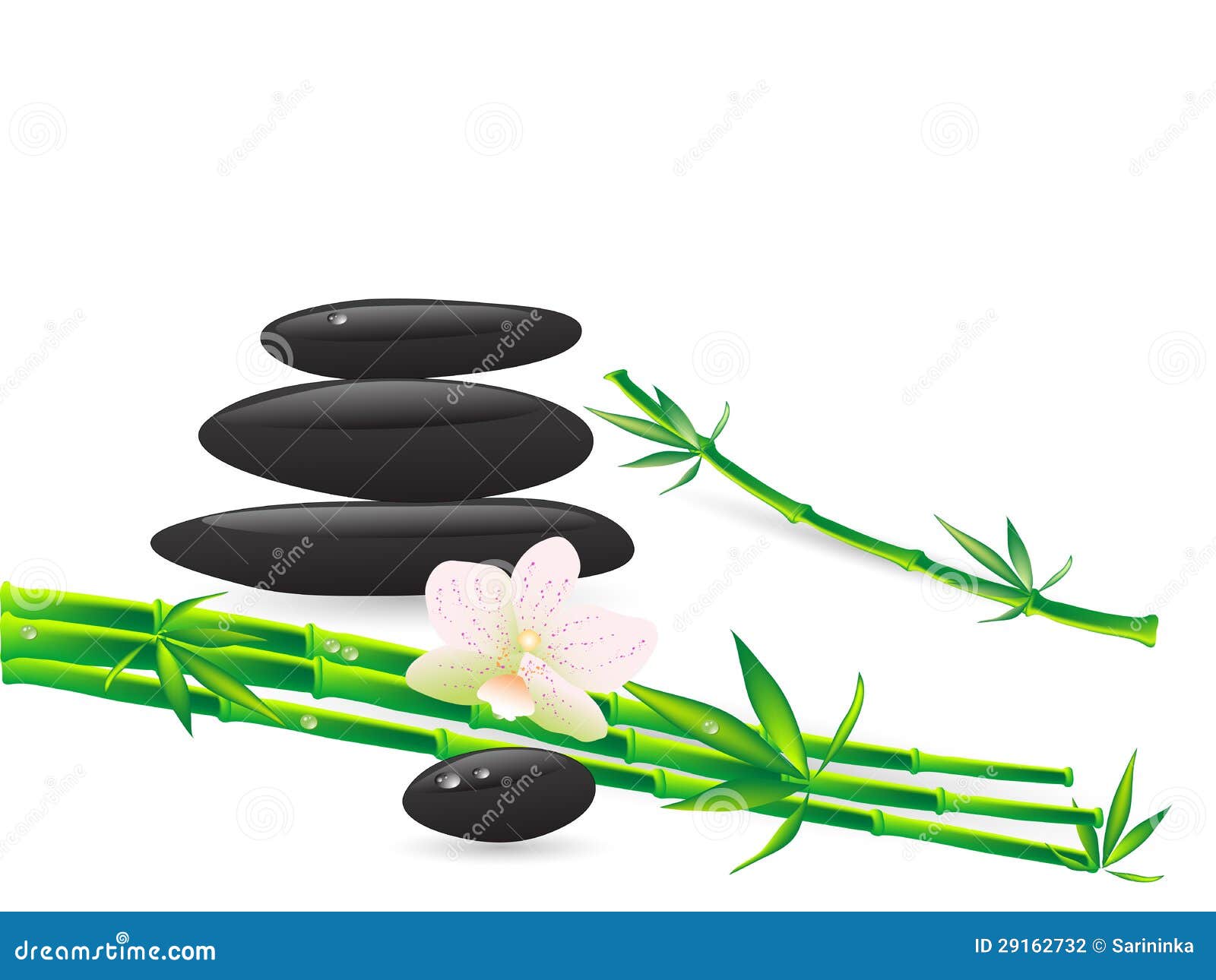 Wellness stones stock vector. Illustration of orchid - 29162732