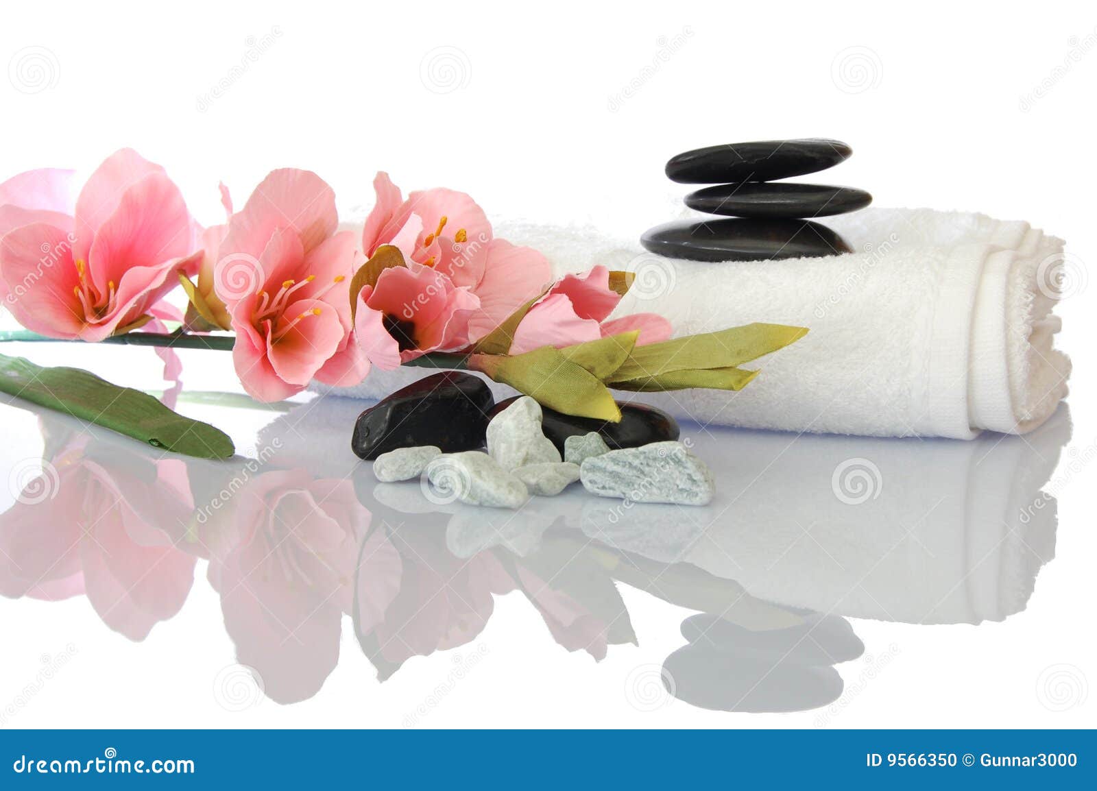 Wellness zen and spa stock photo. Image of life, cure - 9566350