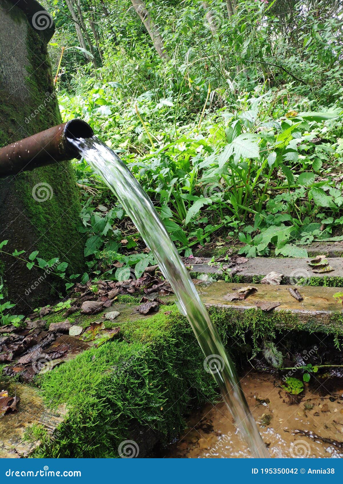 Wellspring with Clear Drinking Water in the Forest. a Pure, Fresh ...