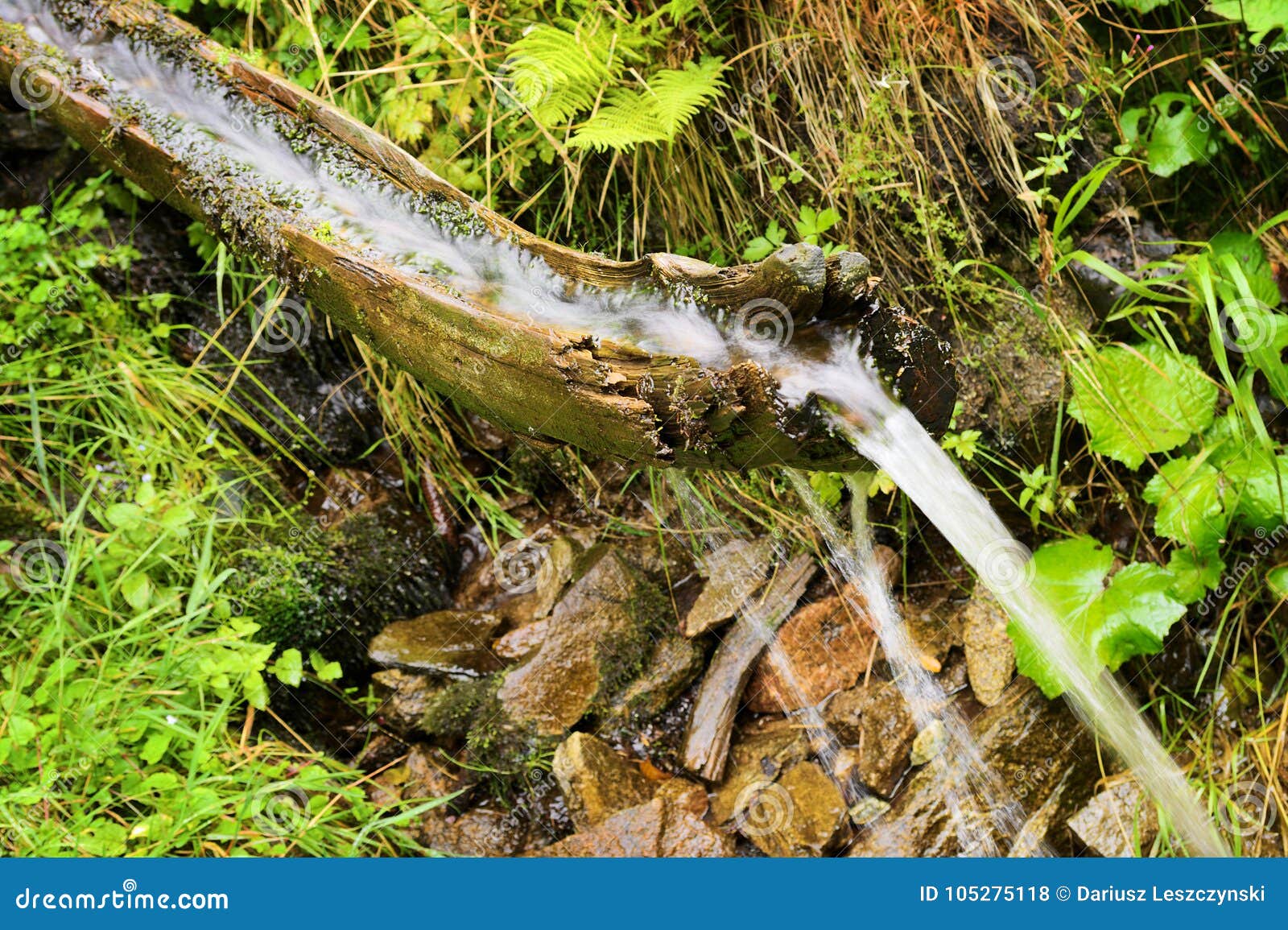 Wellspring With Clear Drinking Water In The Forest. A Pure, Fresh ...