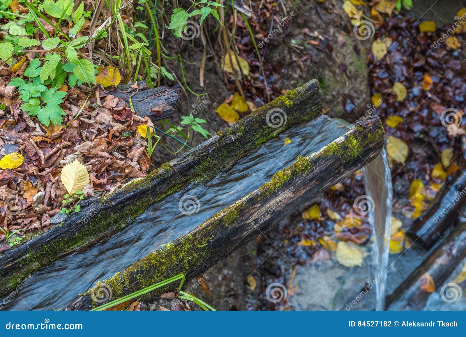 Wellspring stock photo. Image of spring, drinking, nature - 84527182