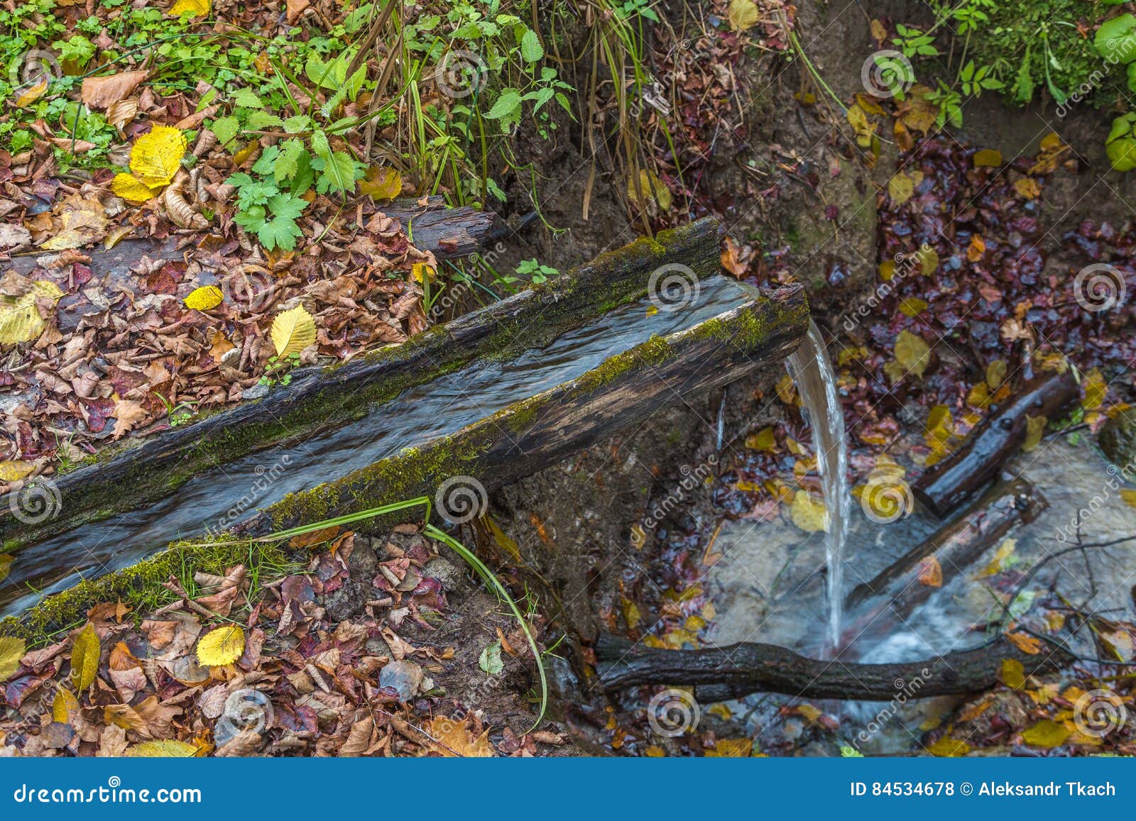 Wellspring stock photo. Image of nature, beautiful, flowing - 84534678