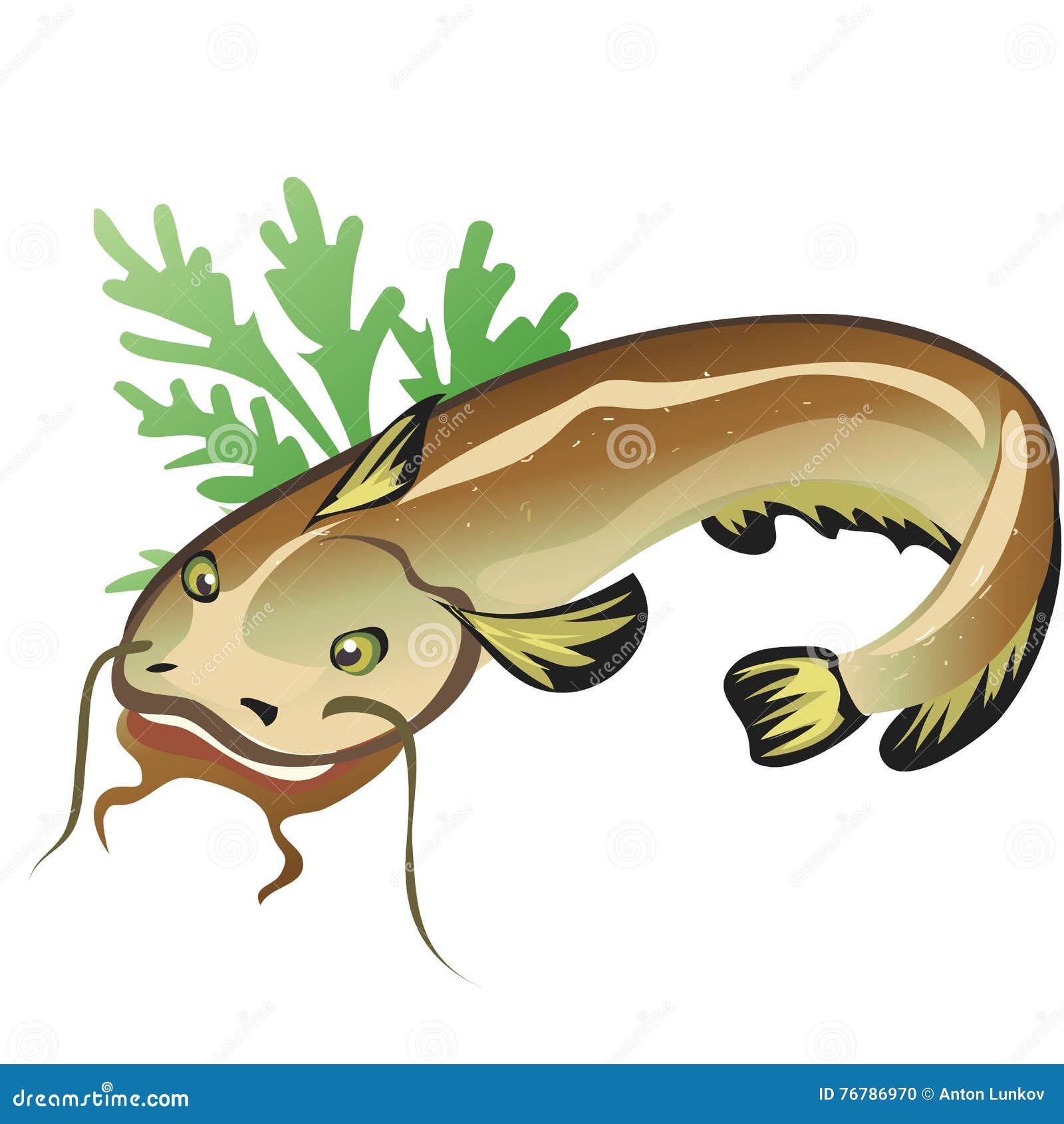 Wels Mit Salat, Vektorlebensmittel Vektor Abbildung - Illustration von ...