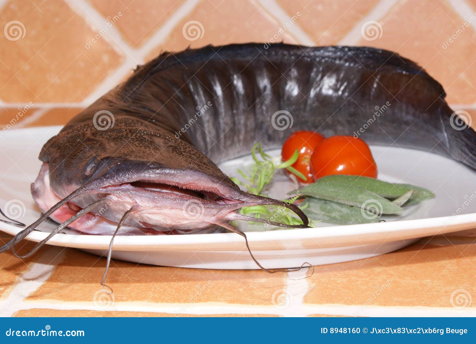 Wels prepared as food stock photo. Image of seafood, wels - 8948160