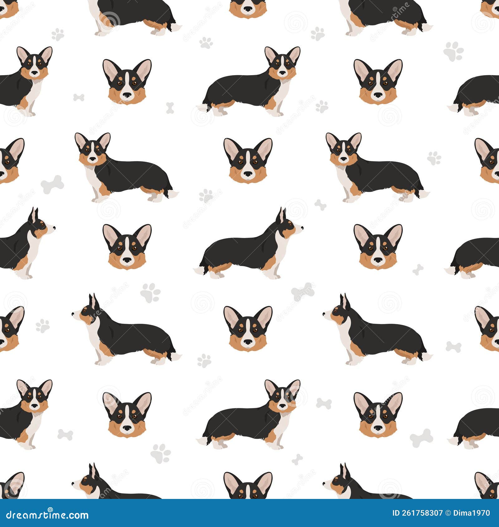 Welsh Corgi Cardigan Seamless Pattern. Different Poses, Coat Colors Set ...