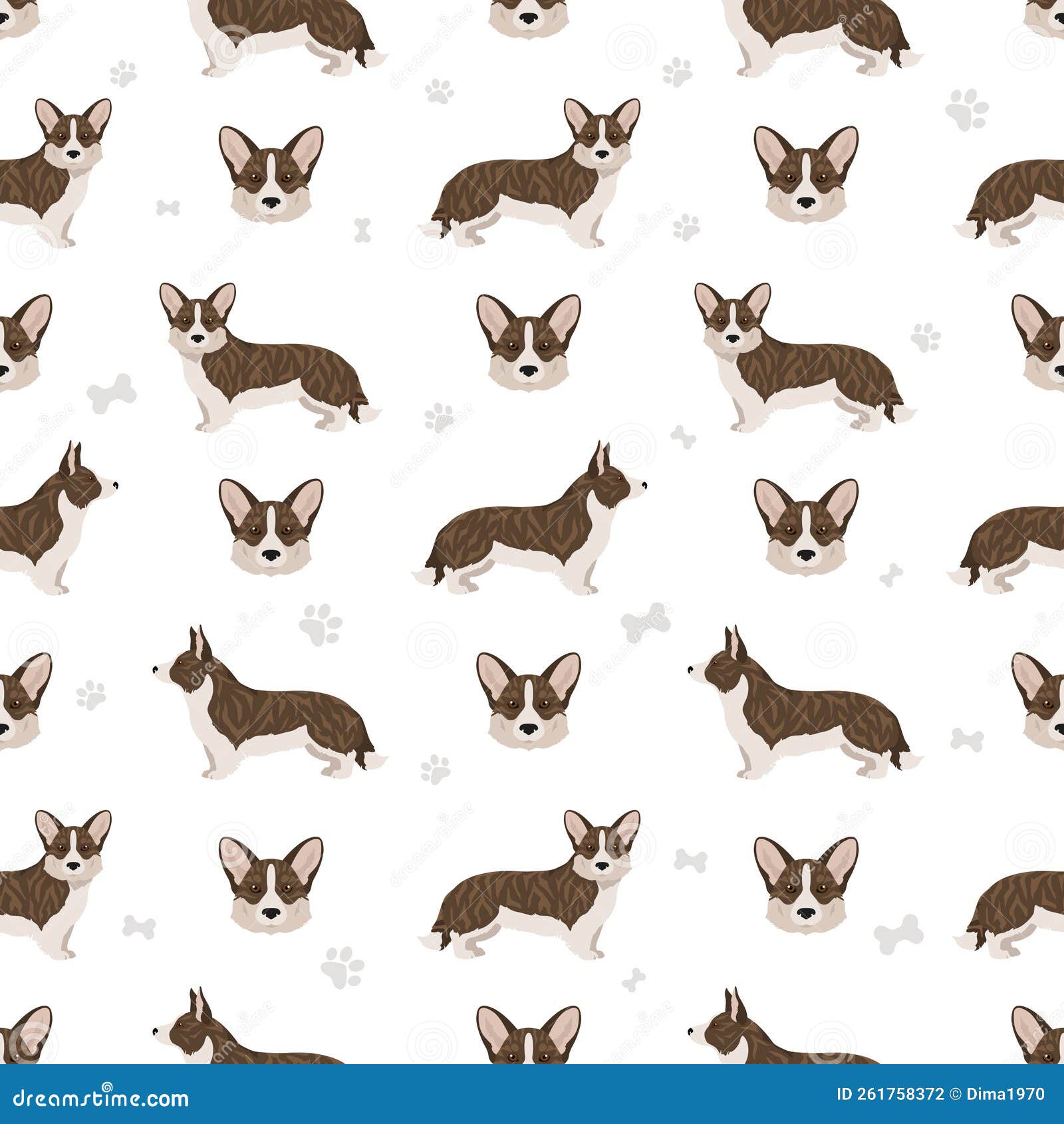 Welsh Corgi Cardigan Seamless Pattern. Different Poses, Coat Colors Set ...