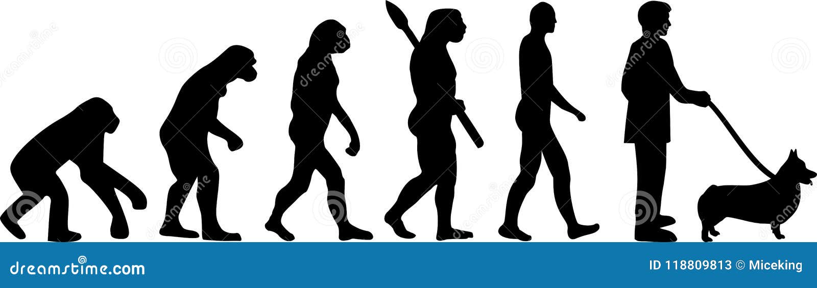 Welsh Corgi Pembroke Evolution Stock Vector - Illustration of logo ...