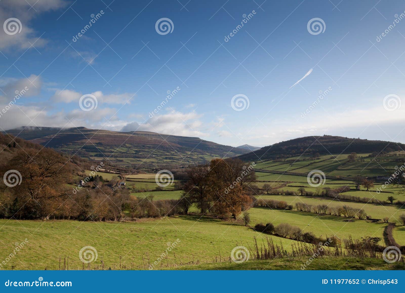 Welsh Countryside stock photo. Image of green, fall, hedgerow - 11977652