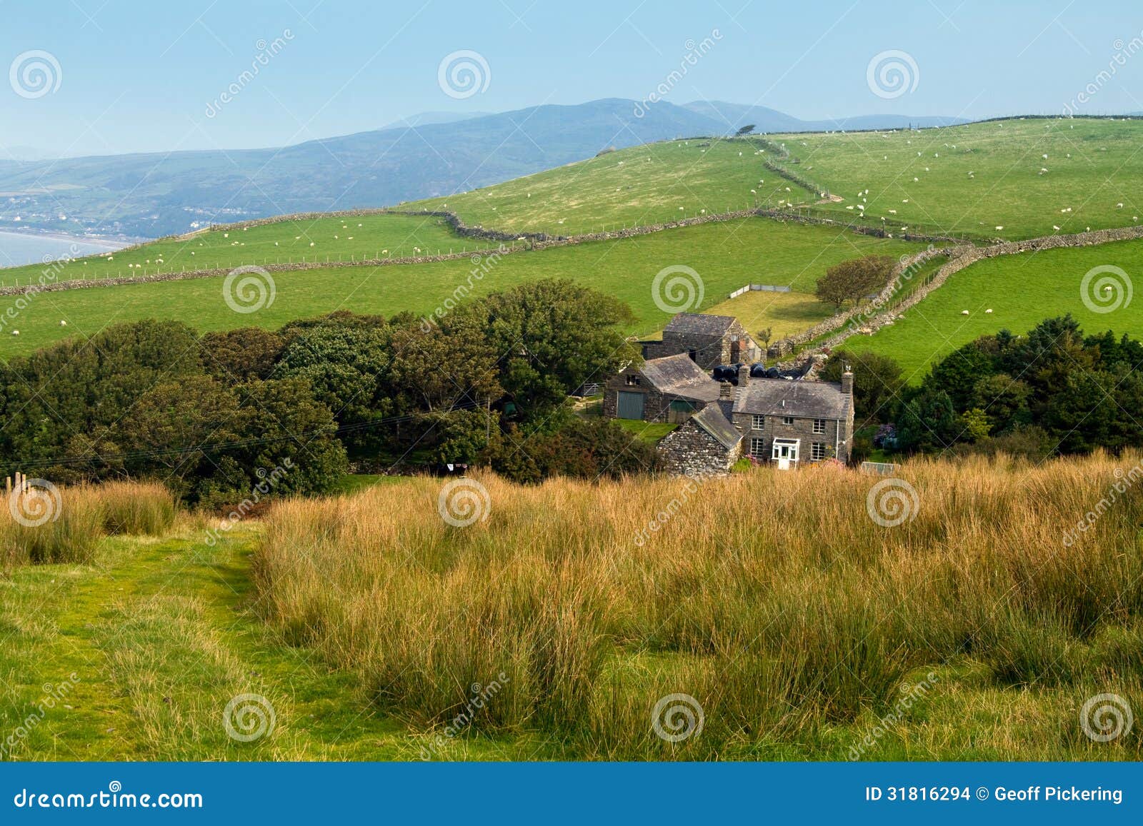 Welsh Countryside stock photo. Image of country, scenery - 31816294