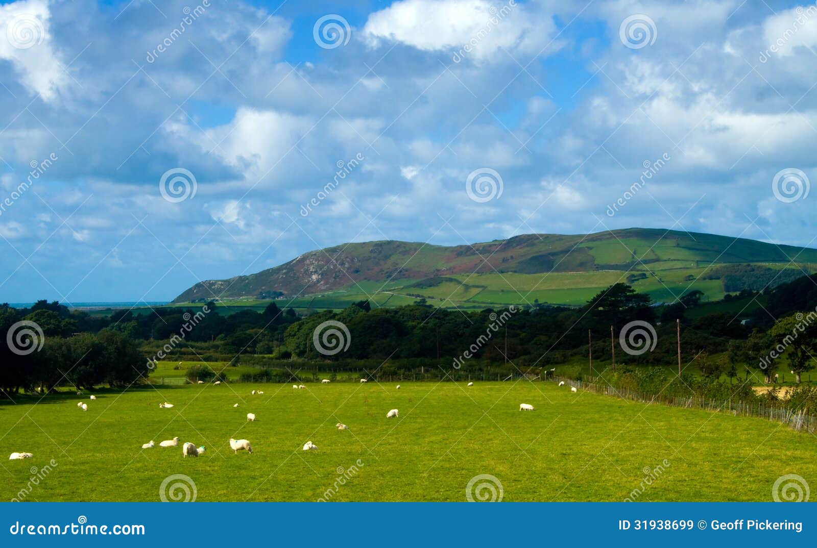 Welsh Countryside stock image. Image of scenery, mountain - 31938699