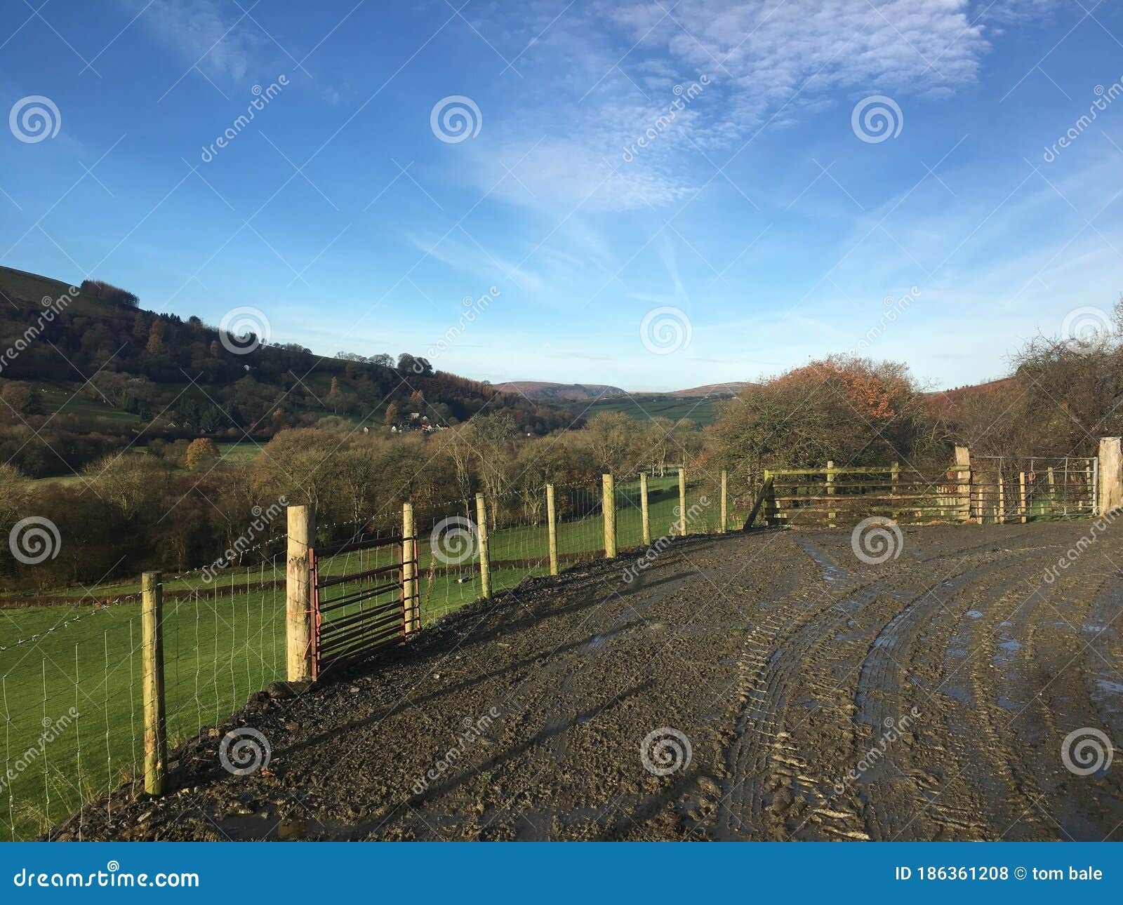 Welsh farm stock photo. Image of country, welsh, blue - 186361208