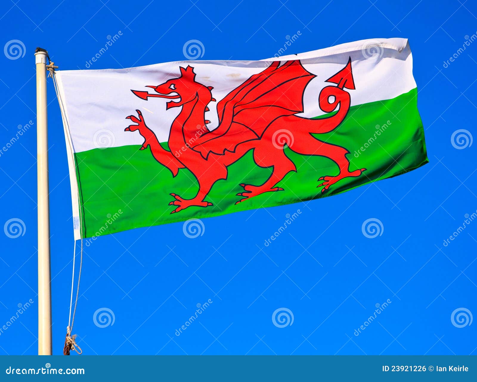 Welsh flag stock photo. Image of wales, nationality, celtic - 23921226