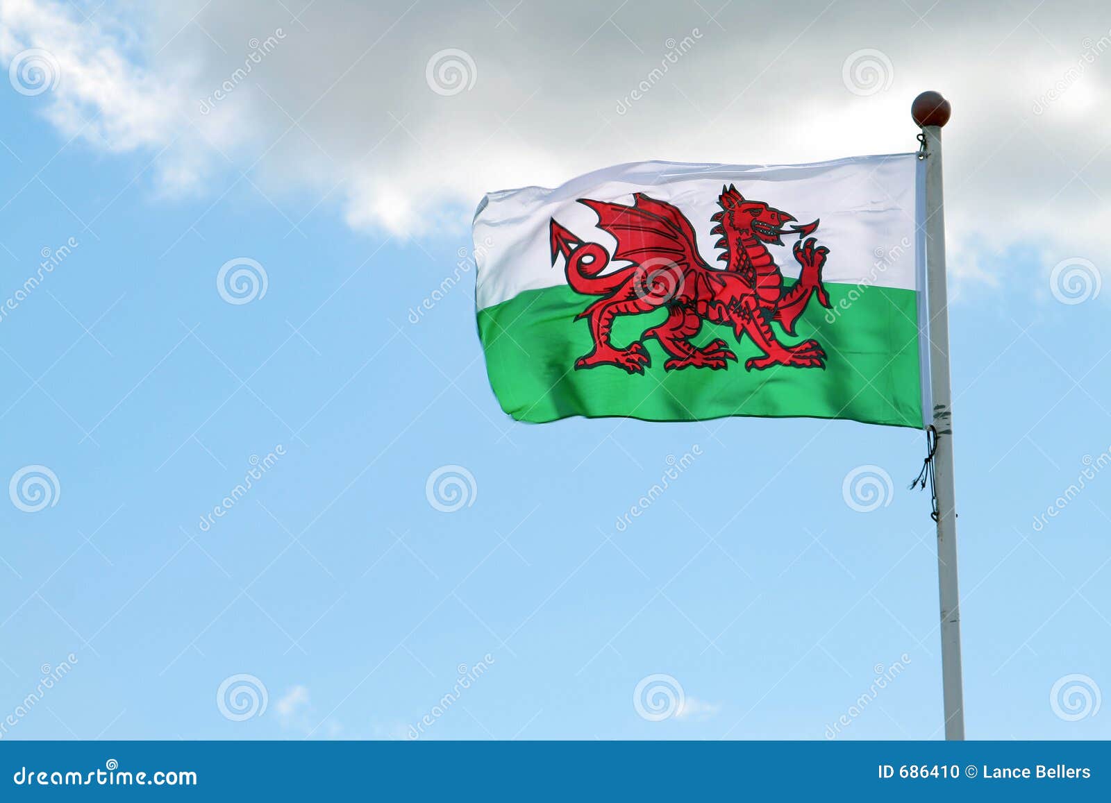 Welsh flag stock photo. Image of leek, pole, welsh, flag - 686410