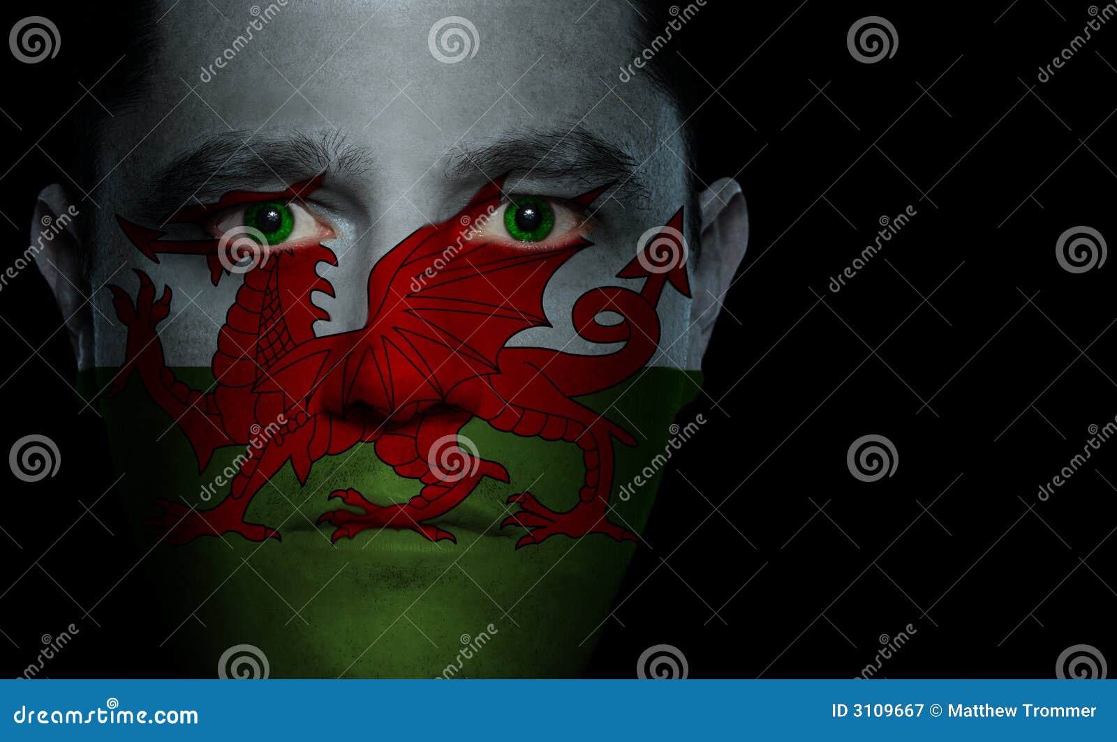 Welsh Flag - Male Face stock image. Image of camouflage - 3109667
