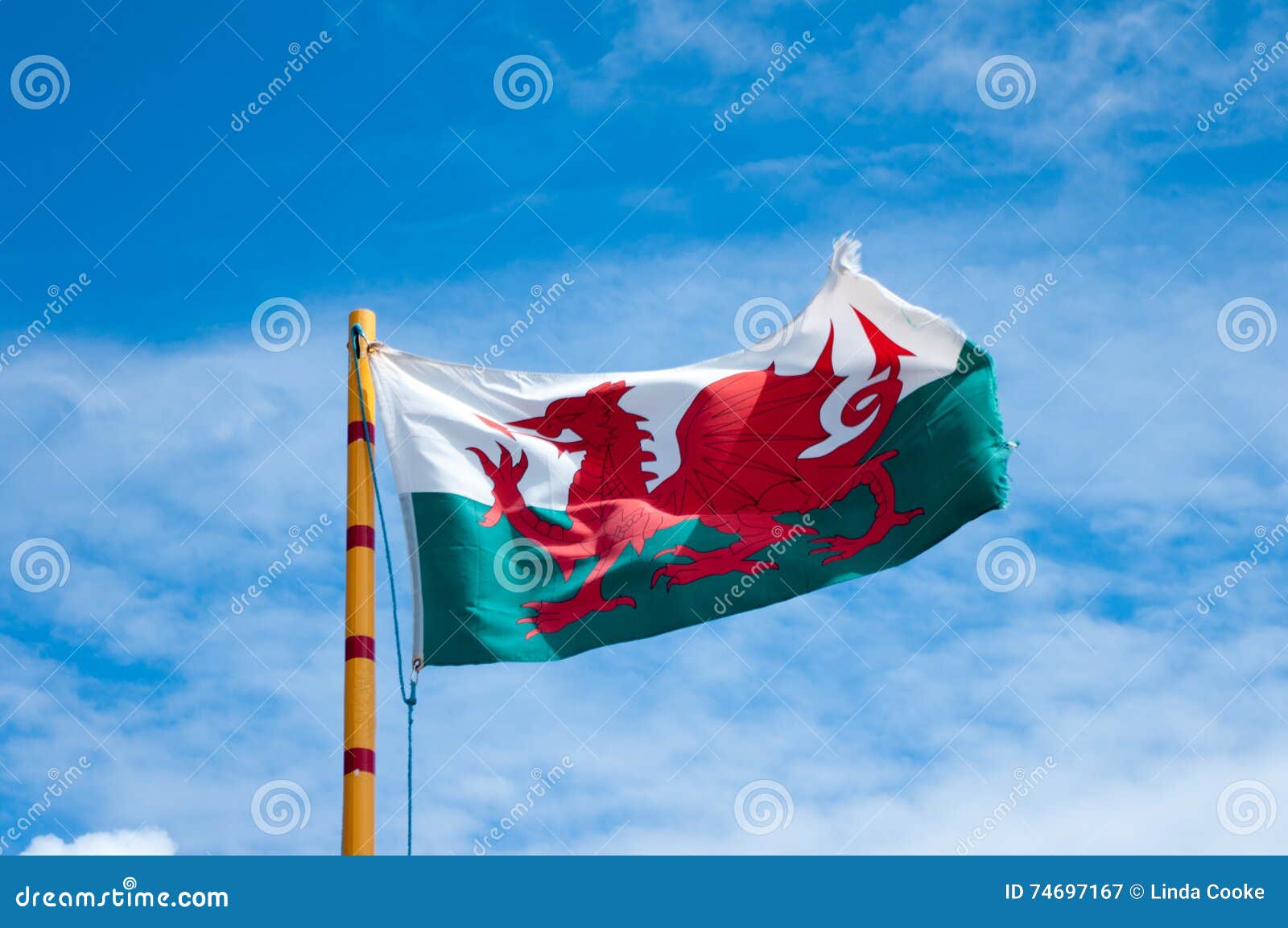 Welsh Flag Royalty-Free Stock Image | CartoonDealer.com #15404920