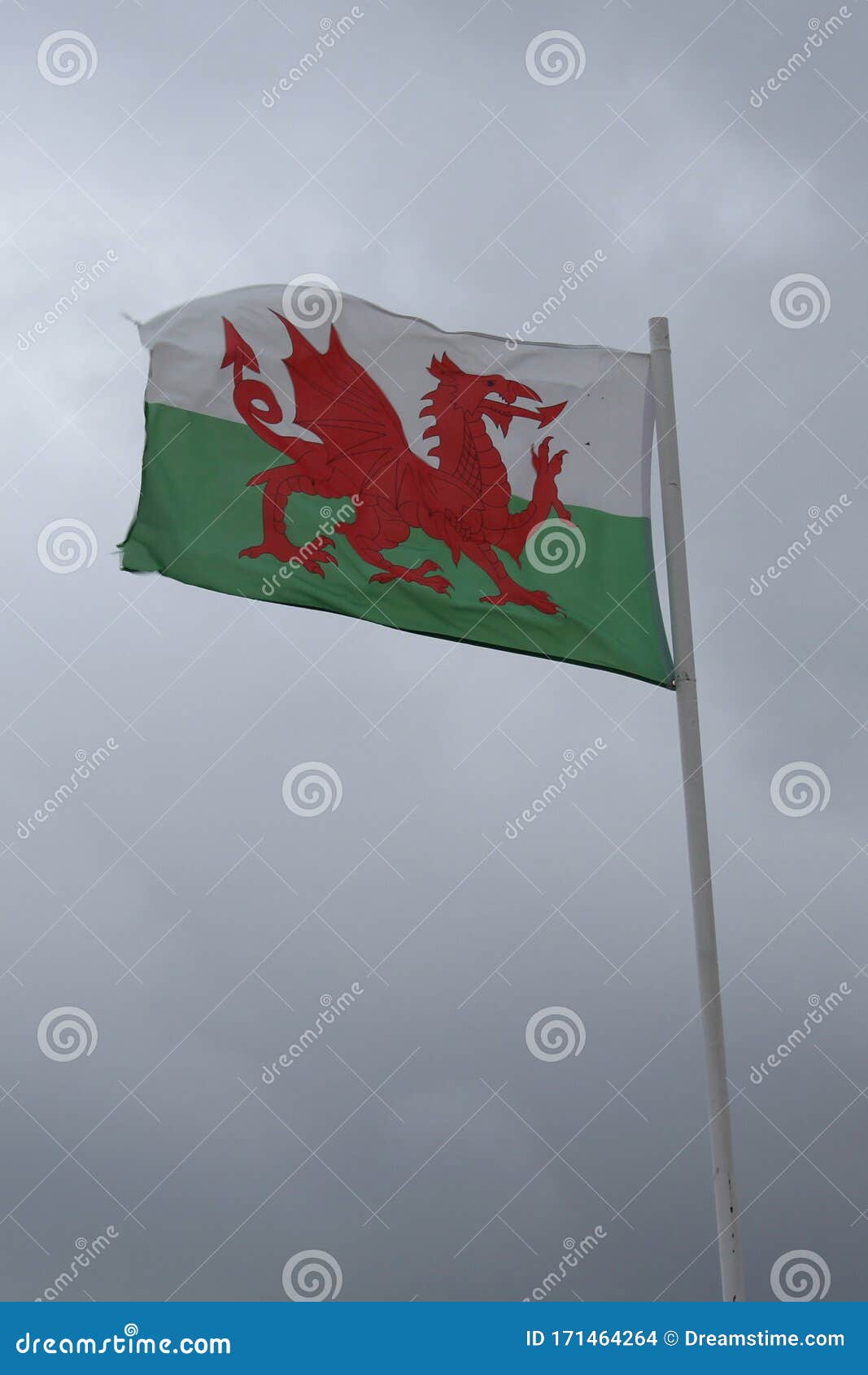 Welsh Flag stock photo. Image of tudor, dragon, cymru - 171464264