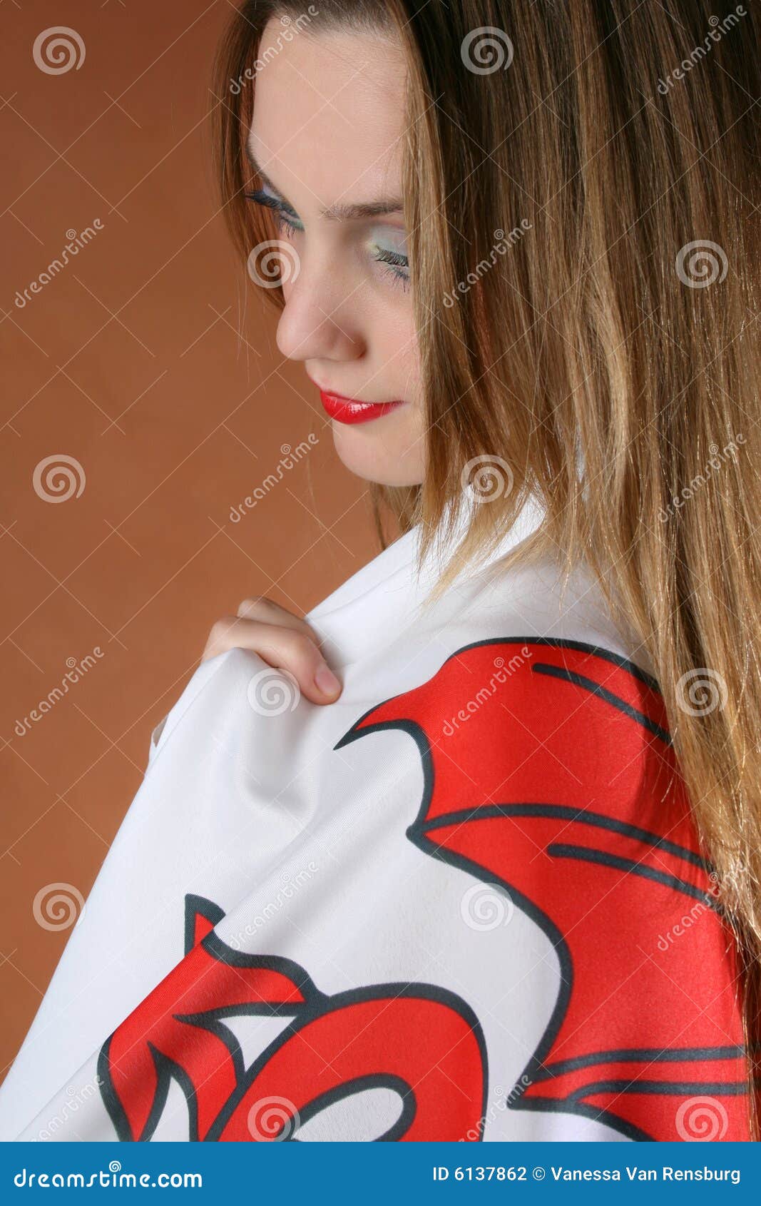 Welsh Girl stock photo. Image of studio, person, portrait - 6137862