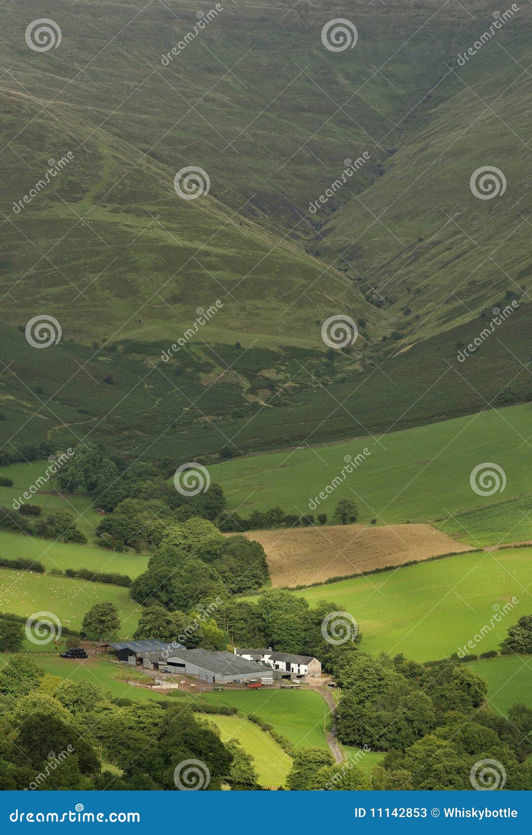 Welsh Hill Farm stock image. Image of distance, bracken - 11142853