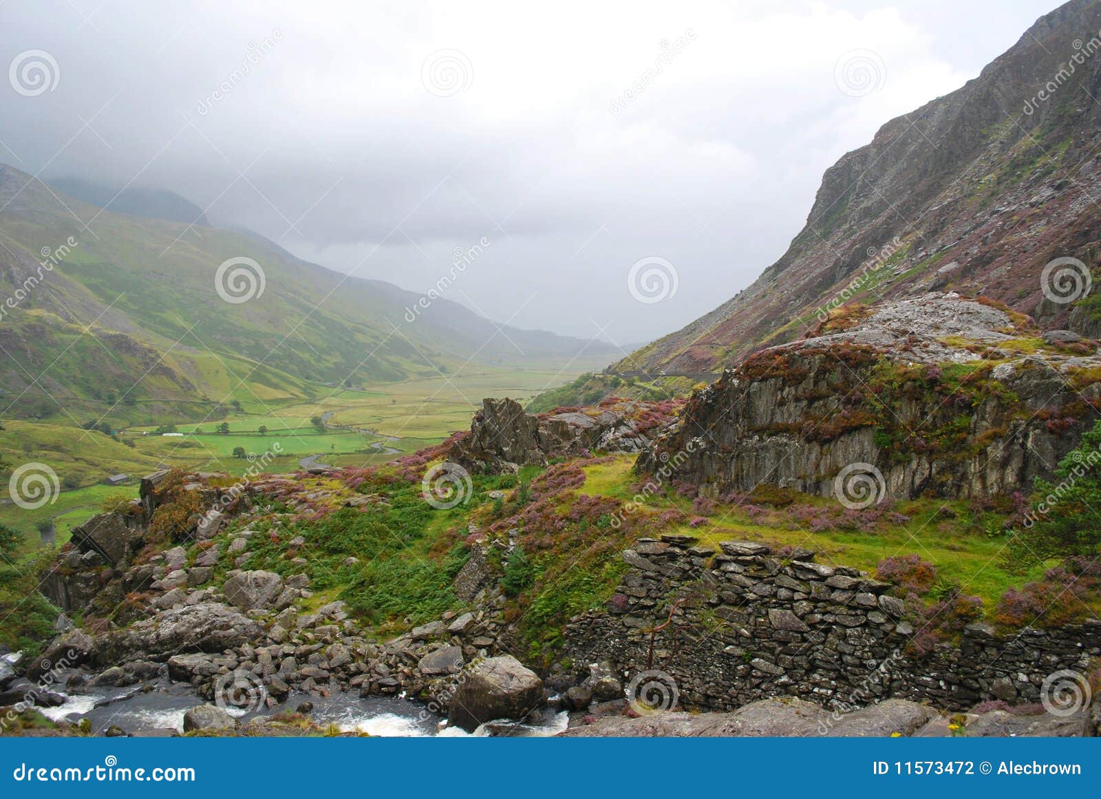 Welsh landscape stock photo. Image of nature, rural, landscape - 11573472