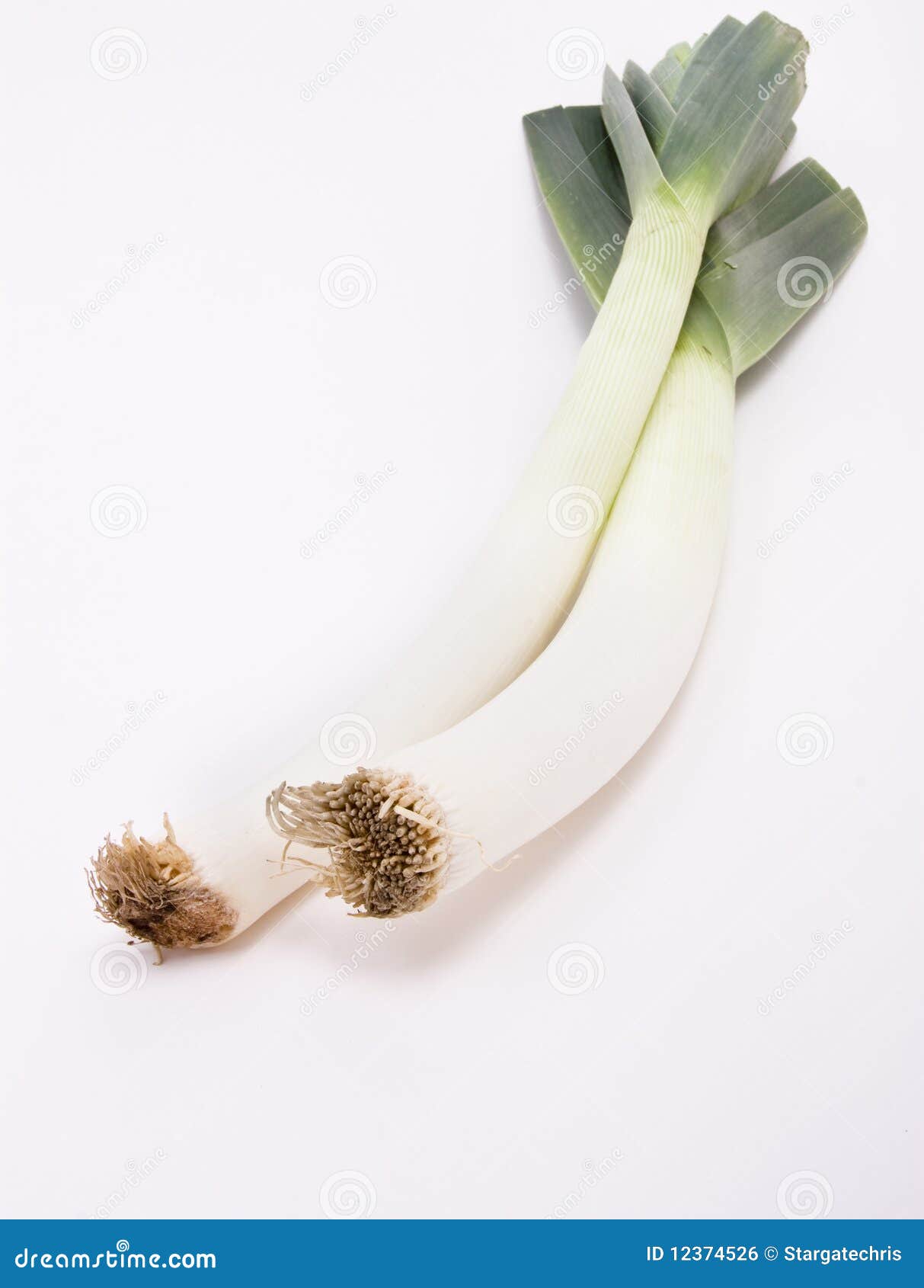 Welsh Leek Royalty Free Stock Image - Image: 12374526