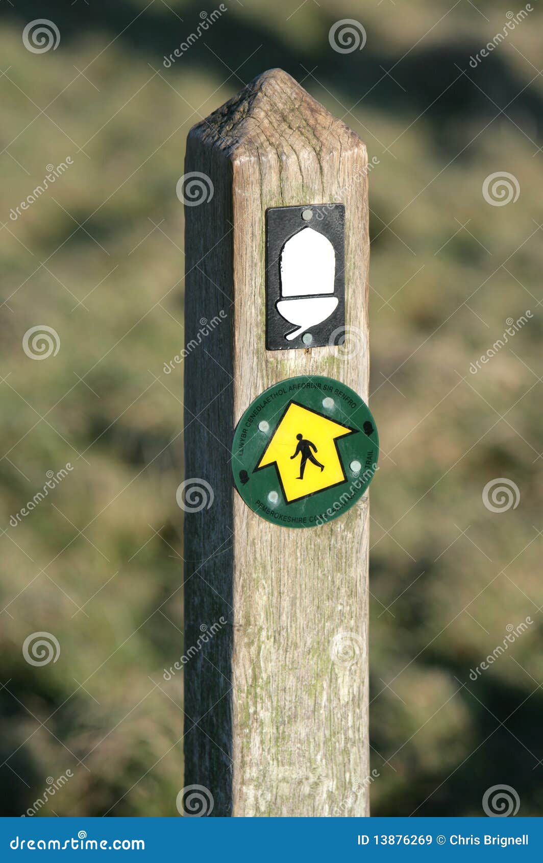 Welsh Nature Trail Sign Post with Acorn Stock Image - Image of signpost ...