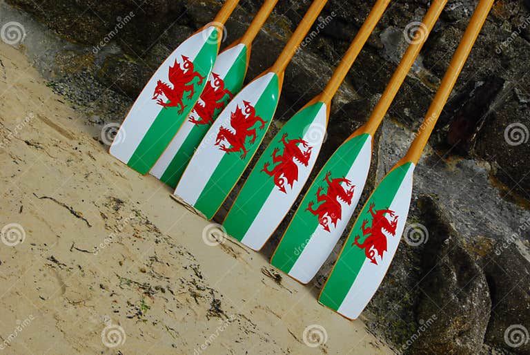 Welsh Rowing Oars stock image. Image of pilot, welsh, dragon - 9242931