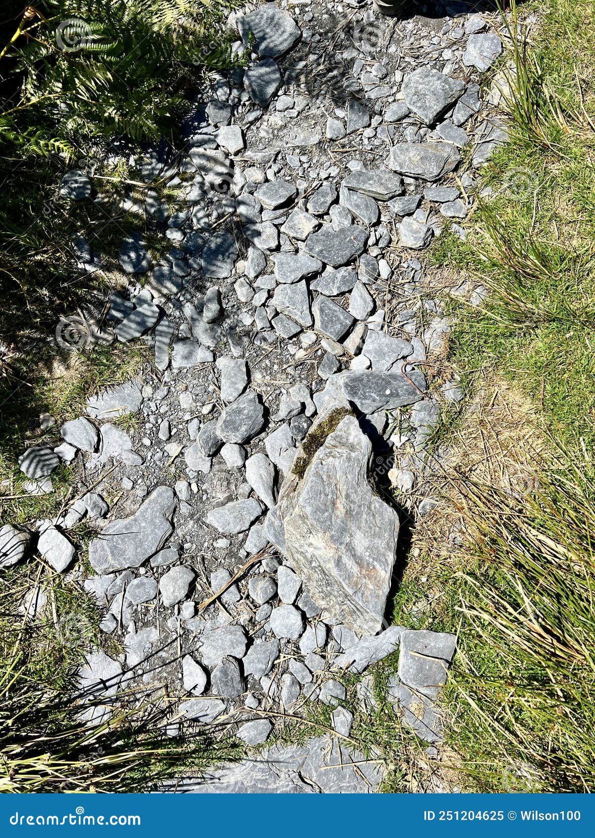 Slate Path stock image. Image of grey, slate, paths - 251204625