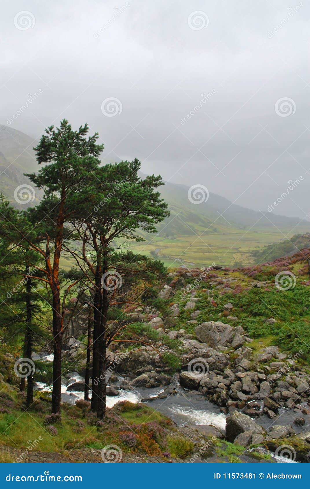 Welsh valley stock image. Image of awesome, nature, flowing - 11573481