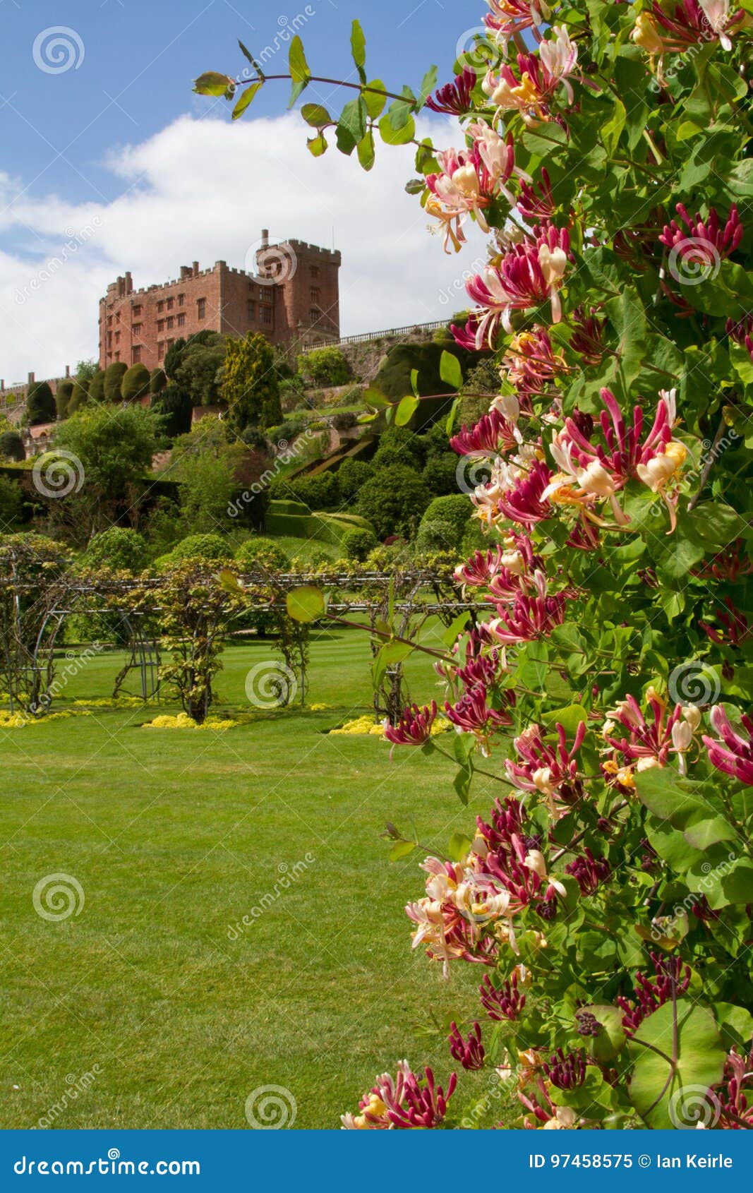 Welshpool castle in Powys stock image. Image of wales - 97458575