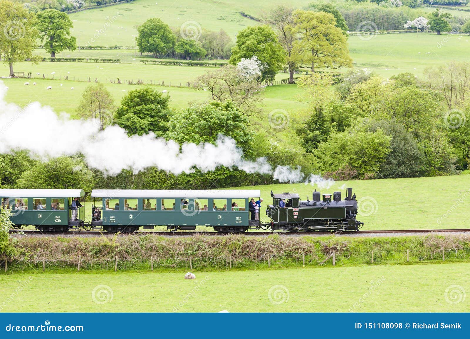 Welshpool & Llanfair Light Railway Steam Locomotive At Llanfair ...