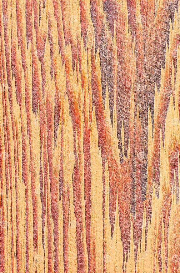 Wenge tree wood stock photo. Image of background, closeup - 150902268
